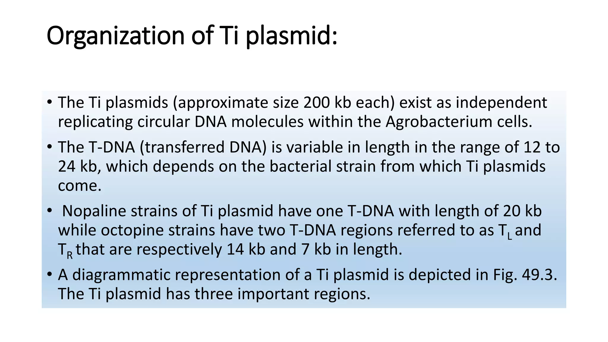 Gene transfer in plants | PPTX