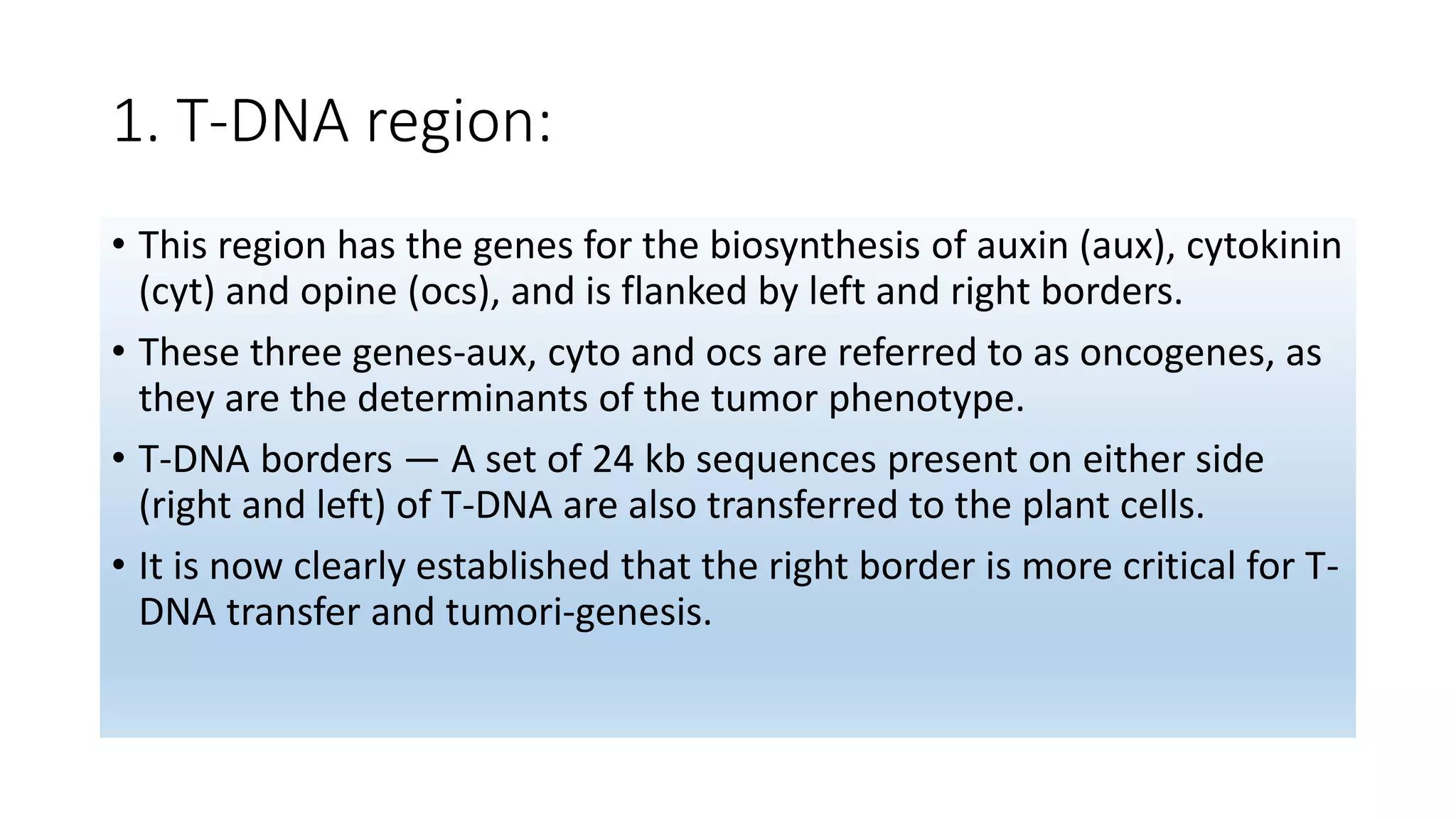 Gene transfer in plants | PPTX