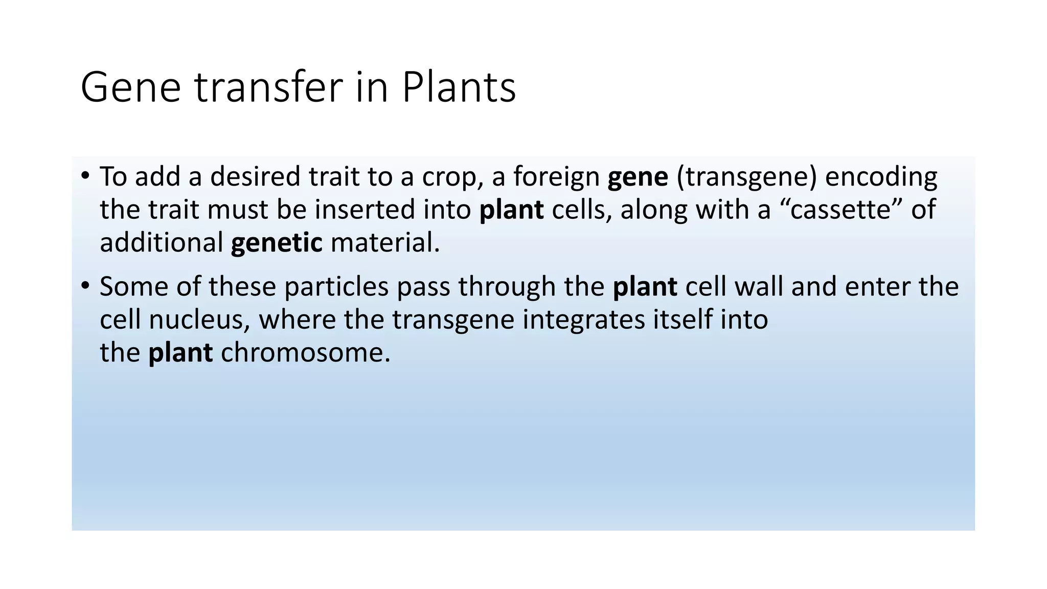 Gene transfer in plants | PPTX
