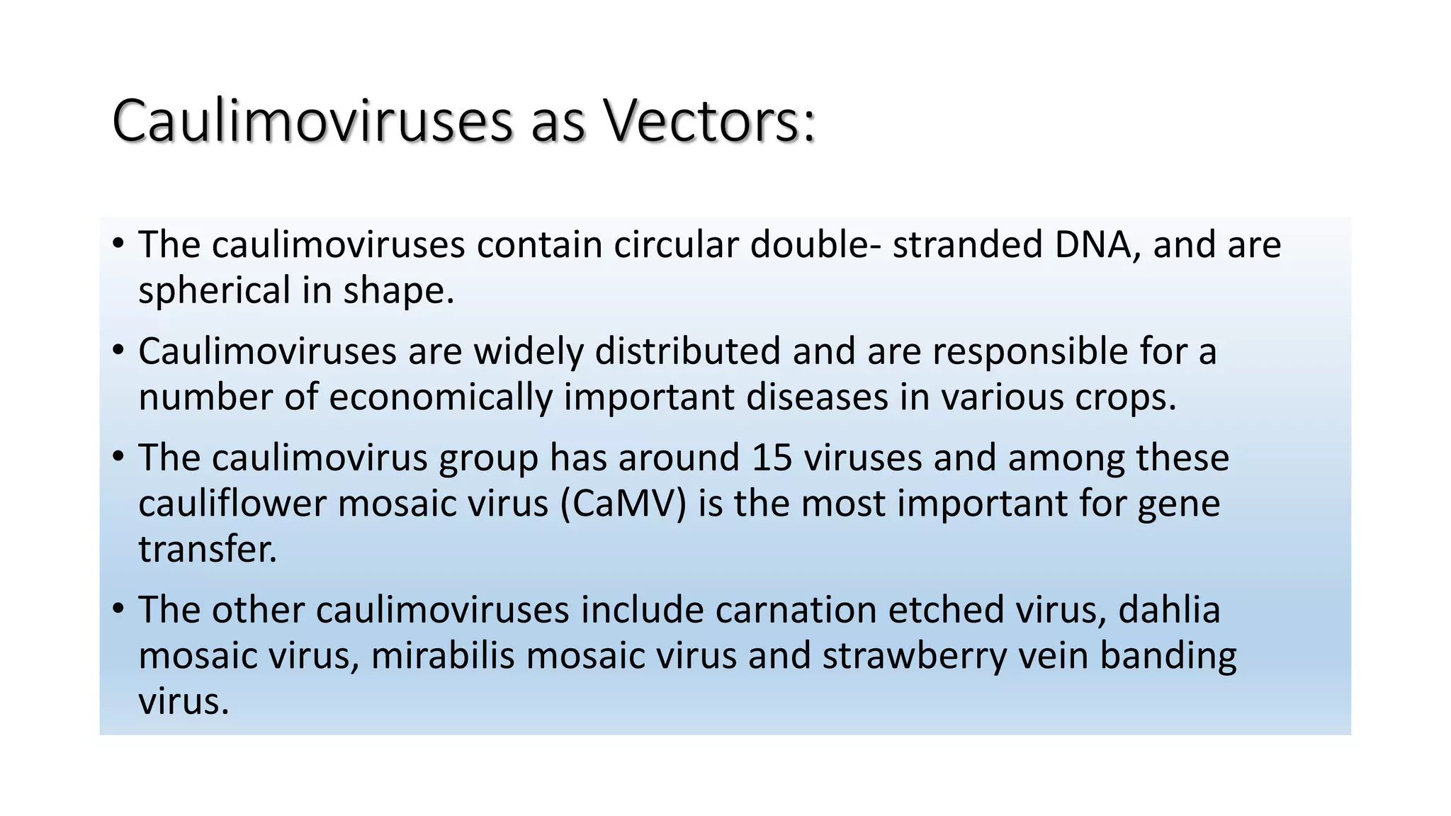 Gene transfer in plants | PPTX