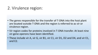 Gene transfer in plants | PPTX