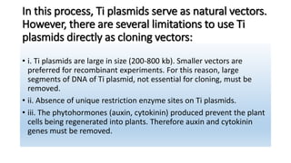 Gene transfer in plants | PPTX | Genetics | Science