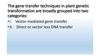 Gene transfer in plants | PPTX