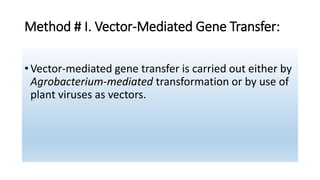 Gene transfer in plants | PPTX