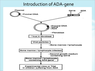 Gene transfer in plants by Dr.Srinivasa, Professor and Head, Srinivas ...