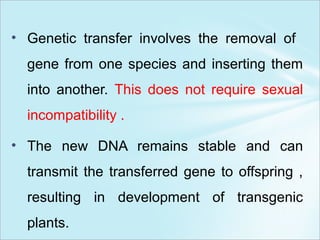 Gene transfer in plants by Dr.Srinivasa, Professor and Head, Srinivas ...