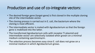 Gene transfer in plants 2- biological vector | PPTX