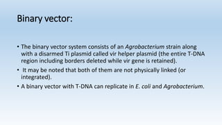 Gene transfer in plants 2- biological vector | PPTX