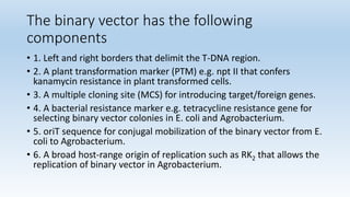 Gene transfer in plants 2- biological vector | PPTX