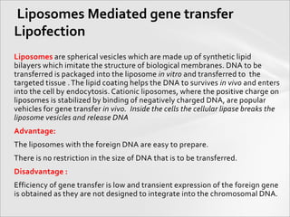 Gene transfer kkg 21 | PPT