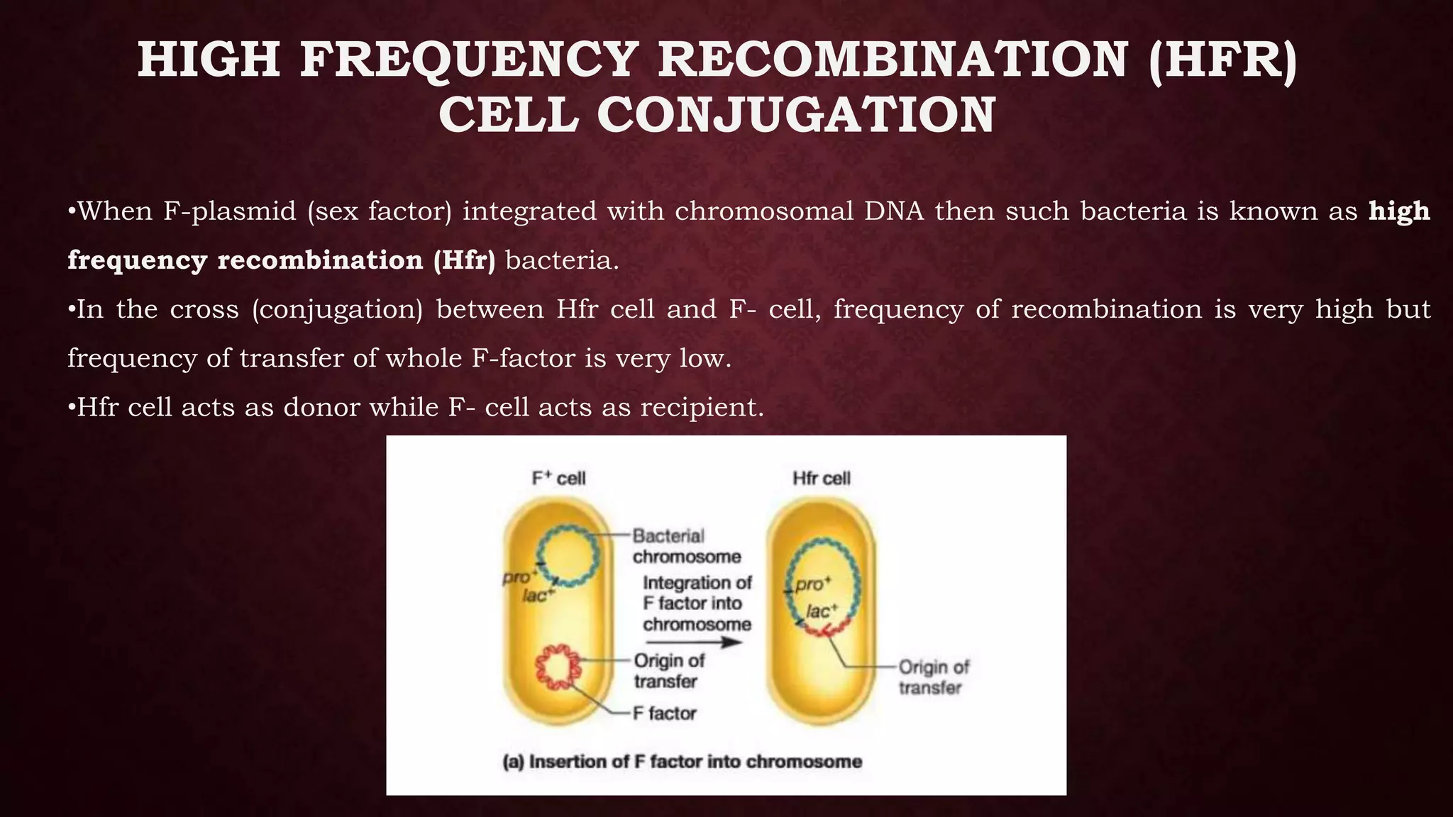 Gene transfer mechanisms | PDF