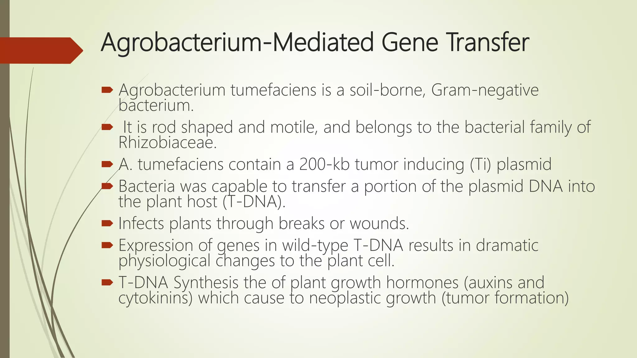 Gene transfer methods | PPTX | Biological Sciences | Science