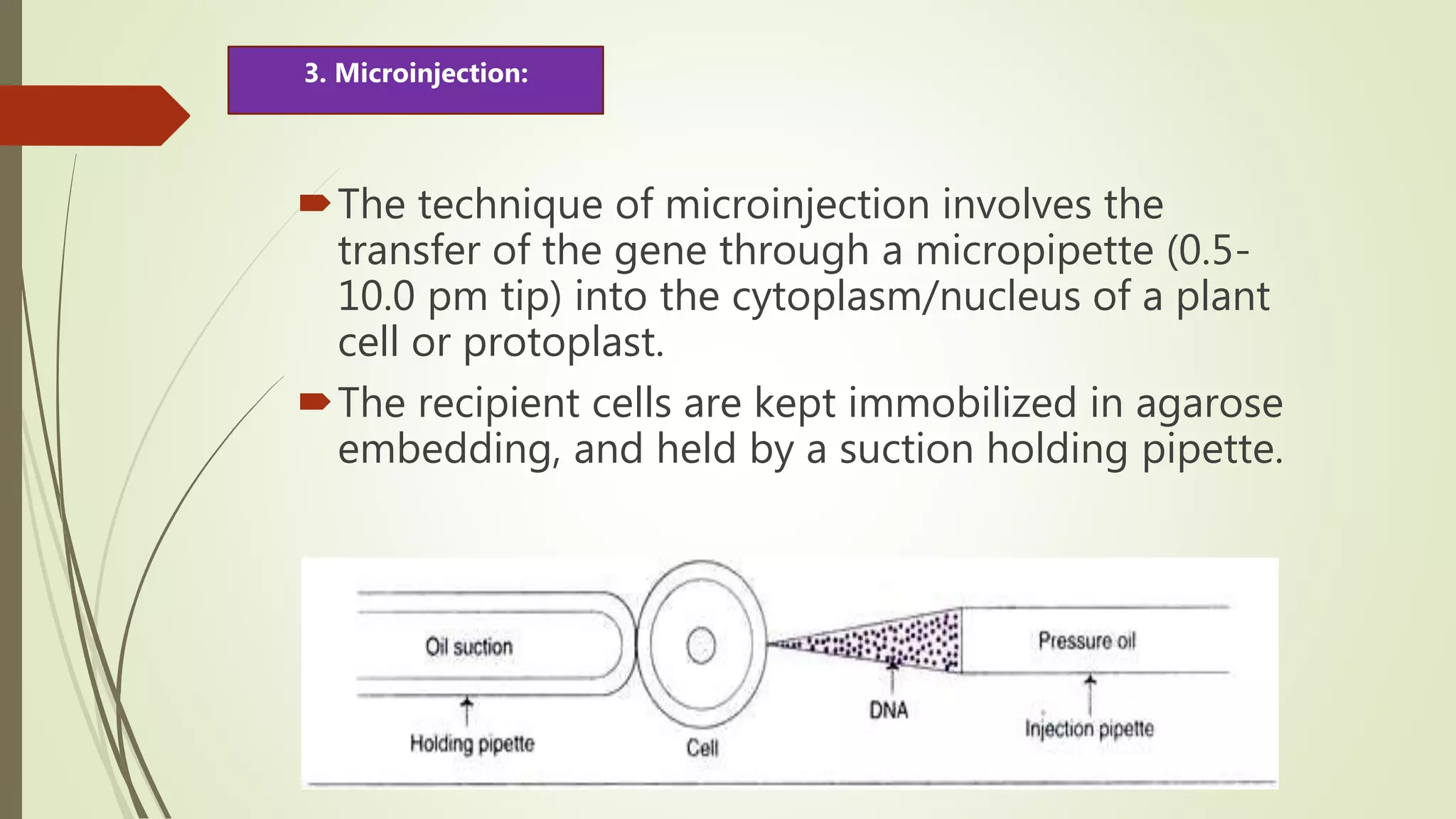 Gene transfer methods | PPTX
