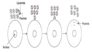Gene transfer methods | PPTX
