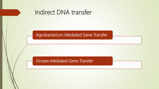 Gene transfer methods | PPTX