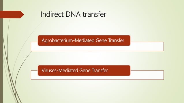 Gene transfer methods | PPTX | Biological Sciences | Science