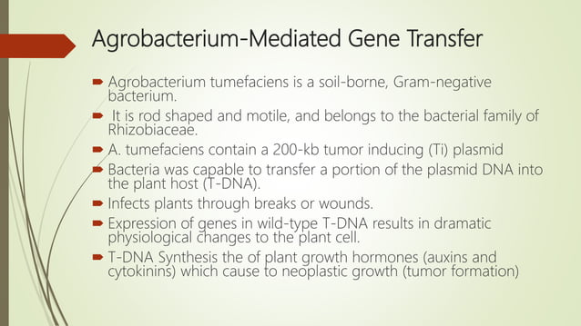 Gene transfer methods | PPTX | Biological Sciences | Science