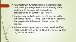 Gene transfer methods | PPTX