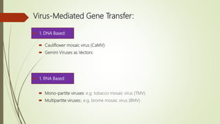 Gene transfer methods | PPTX