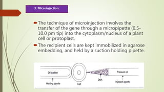 Gene transfer methods | PPTX