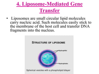 Gene transfer methods | PPTX