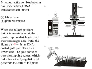 Gene transfer methods | PPTX