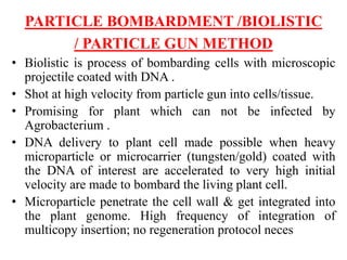 Gene transfer methods | PPT