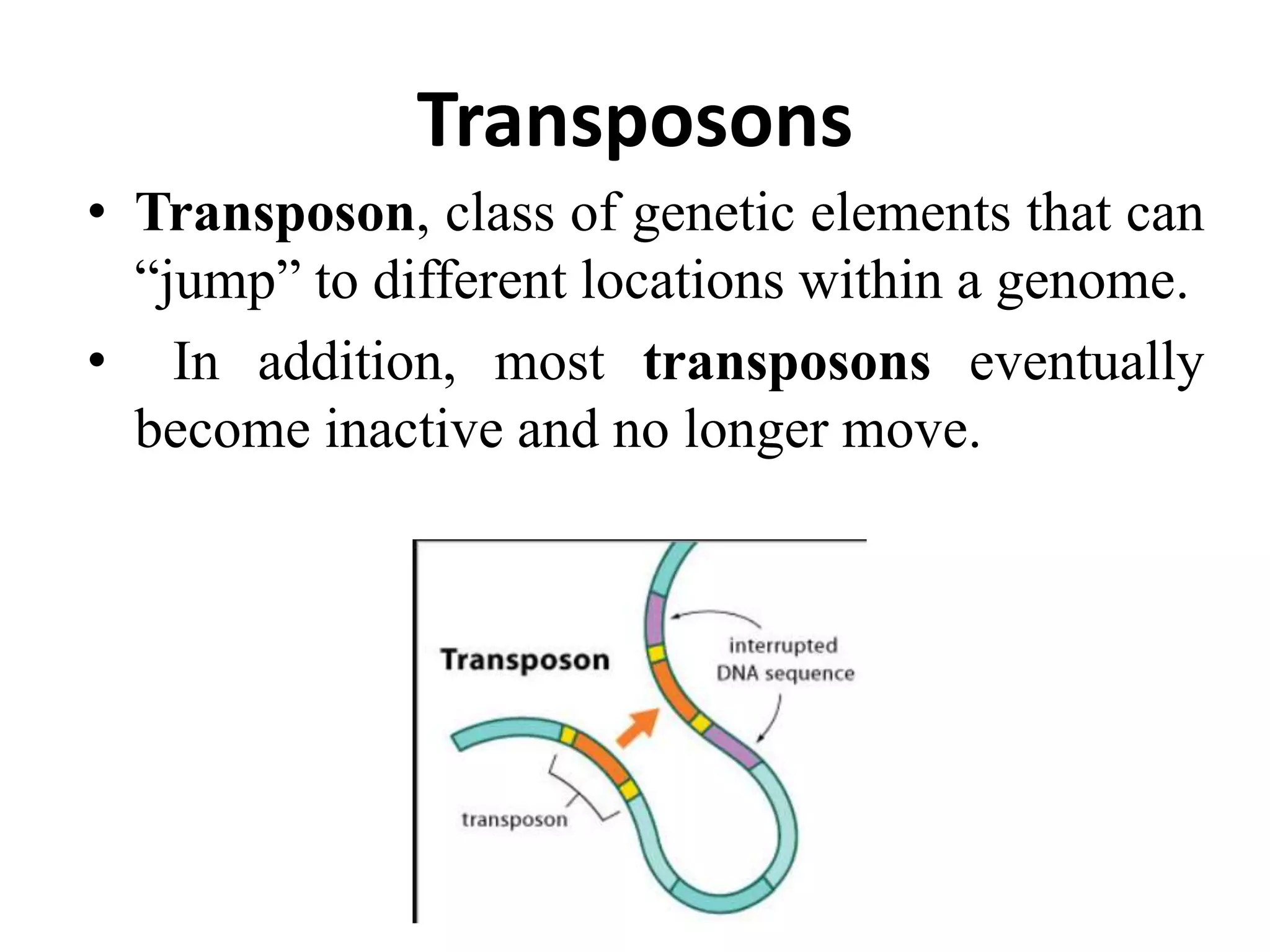 Gene transfer methods .ppt