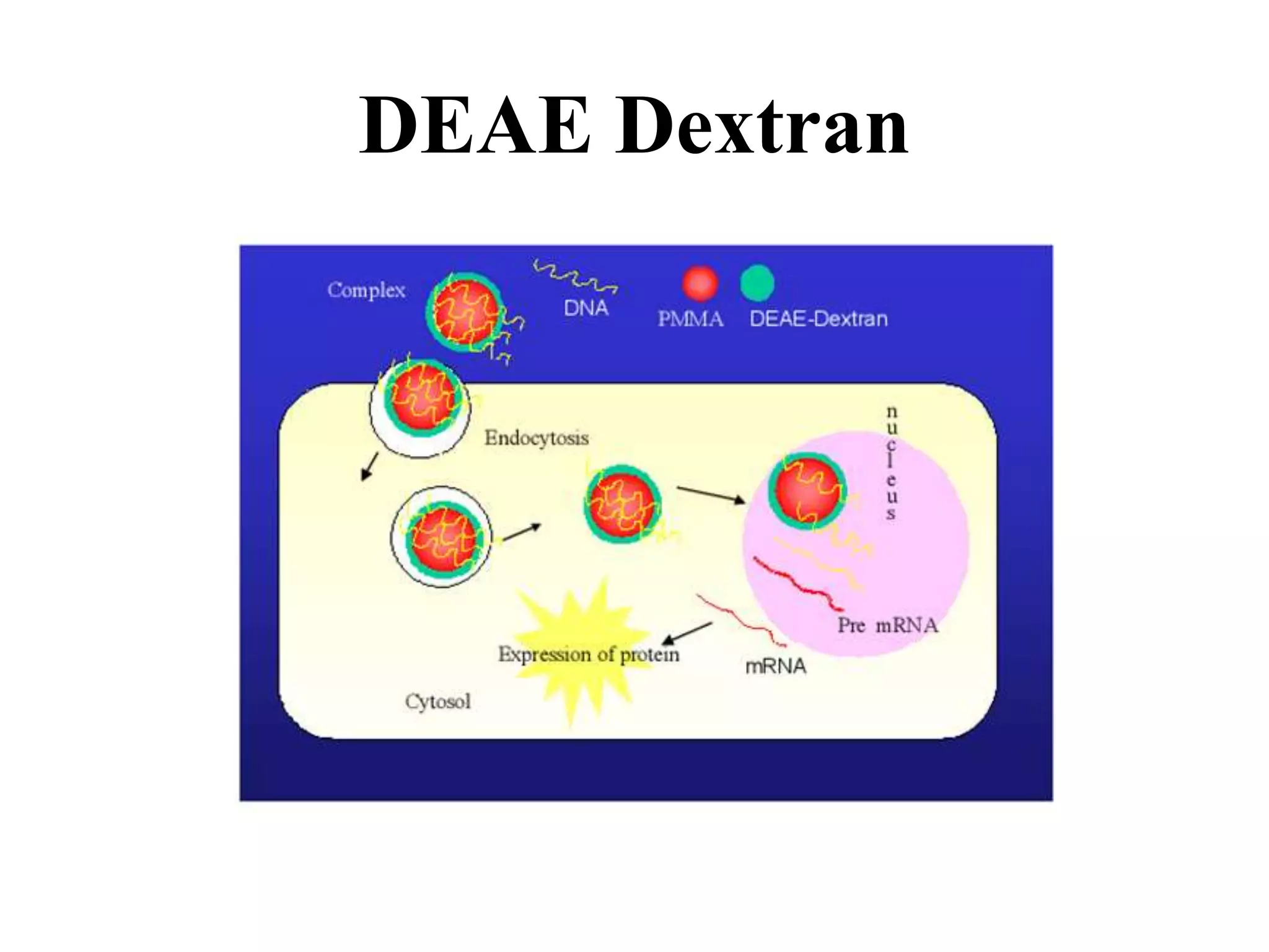 Gene transfer methods .ppt