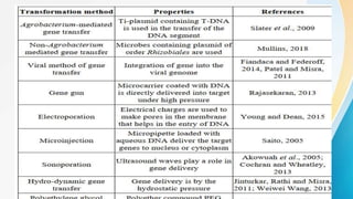 Gene Transfer methods.pptx