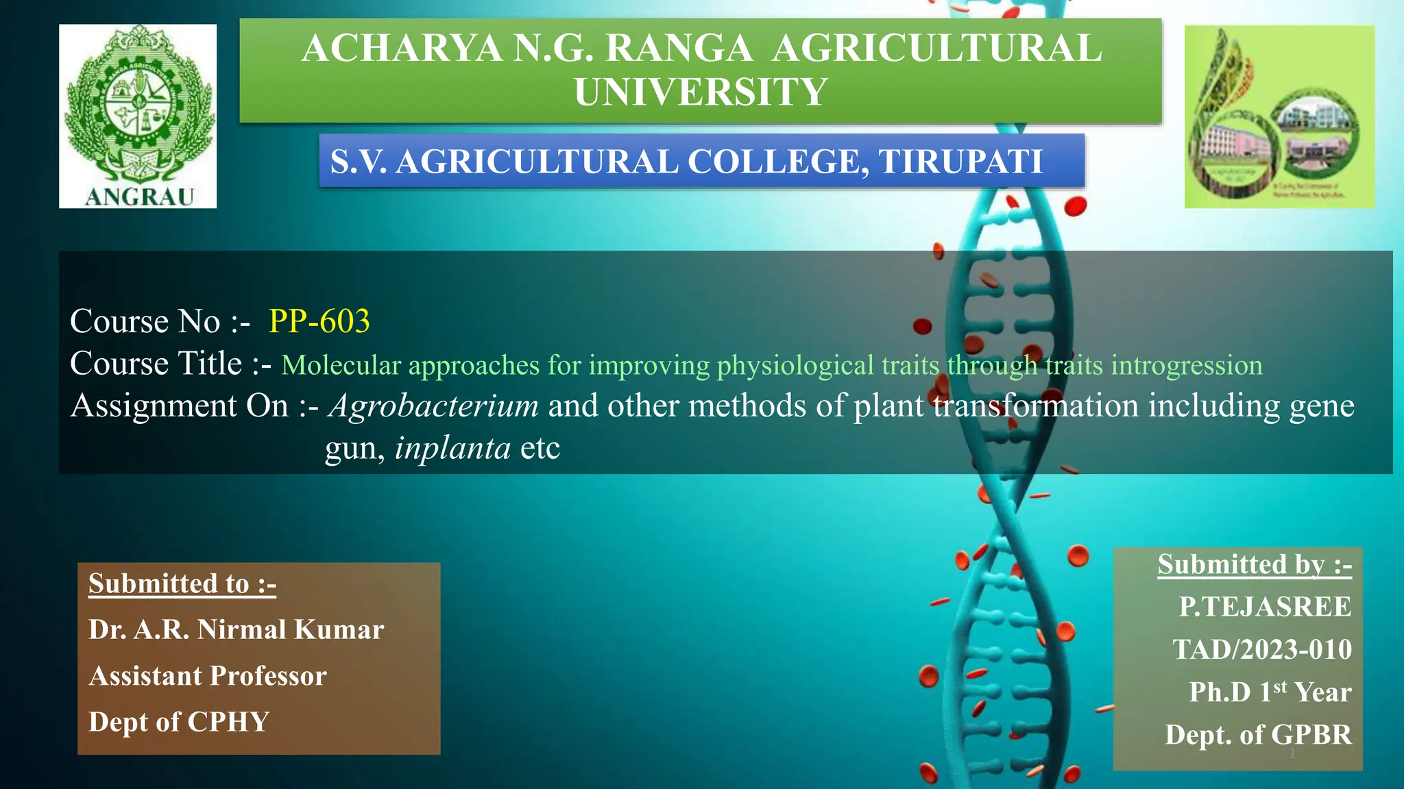 Agrobacterium and other methods of plant transformation including gene ...