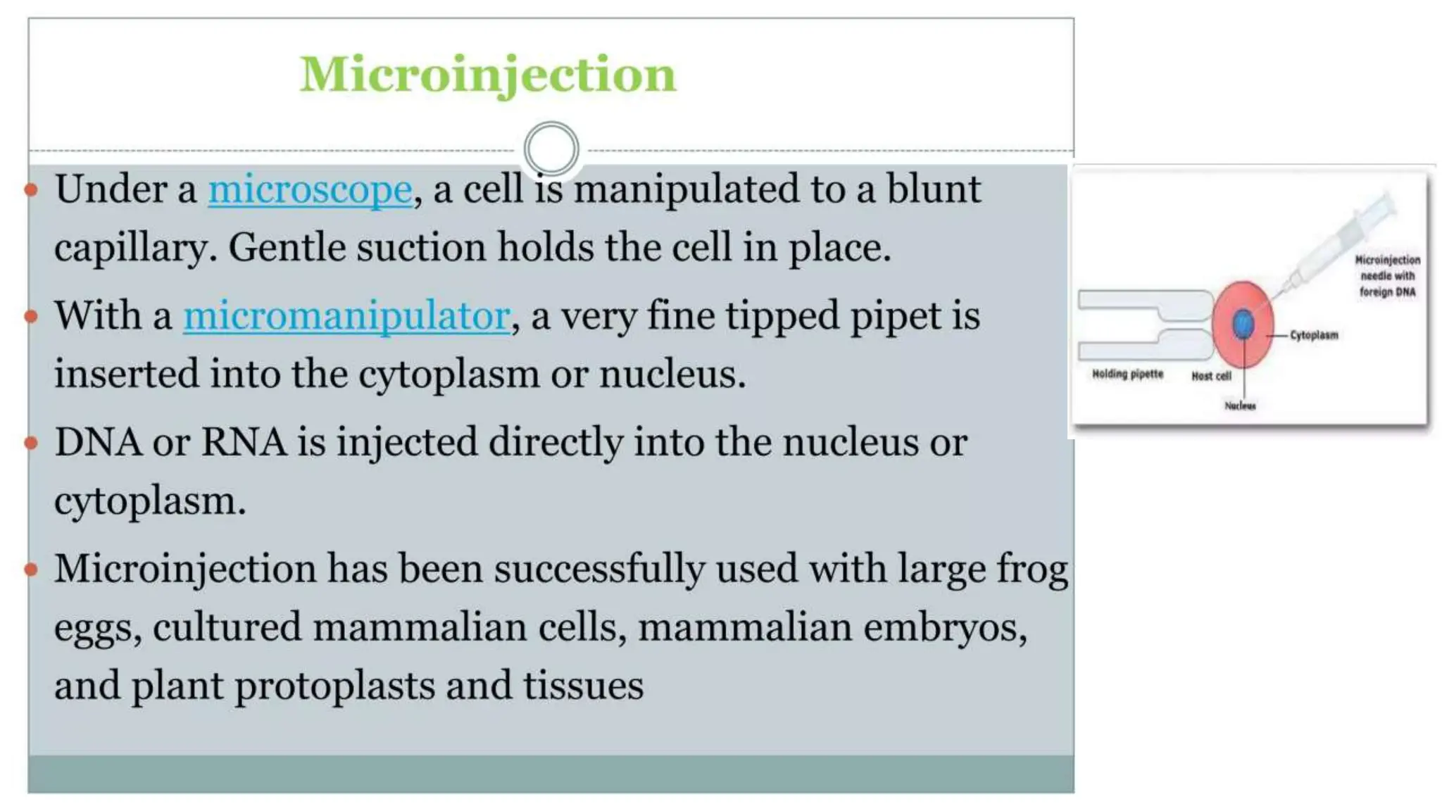 Agrobacterium and other methods of plant transformation including gene ...
