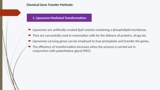 Gene_Transfer_Methods_Modern_Template.pptx