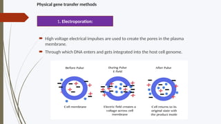 Gene_Transfer_Methods_Modern_Template.pptx