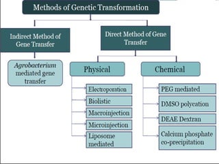Gene transfer methods @ujjwasirohi | PPT