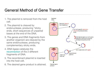 Gene transfer power point | PPT