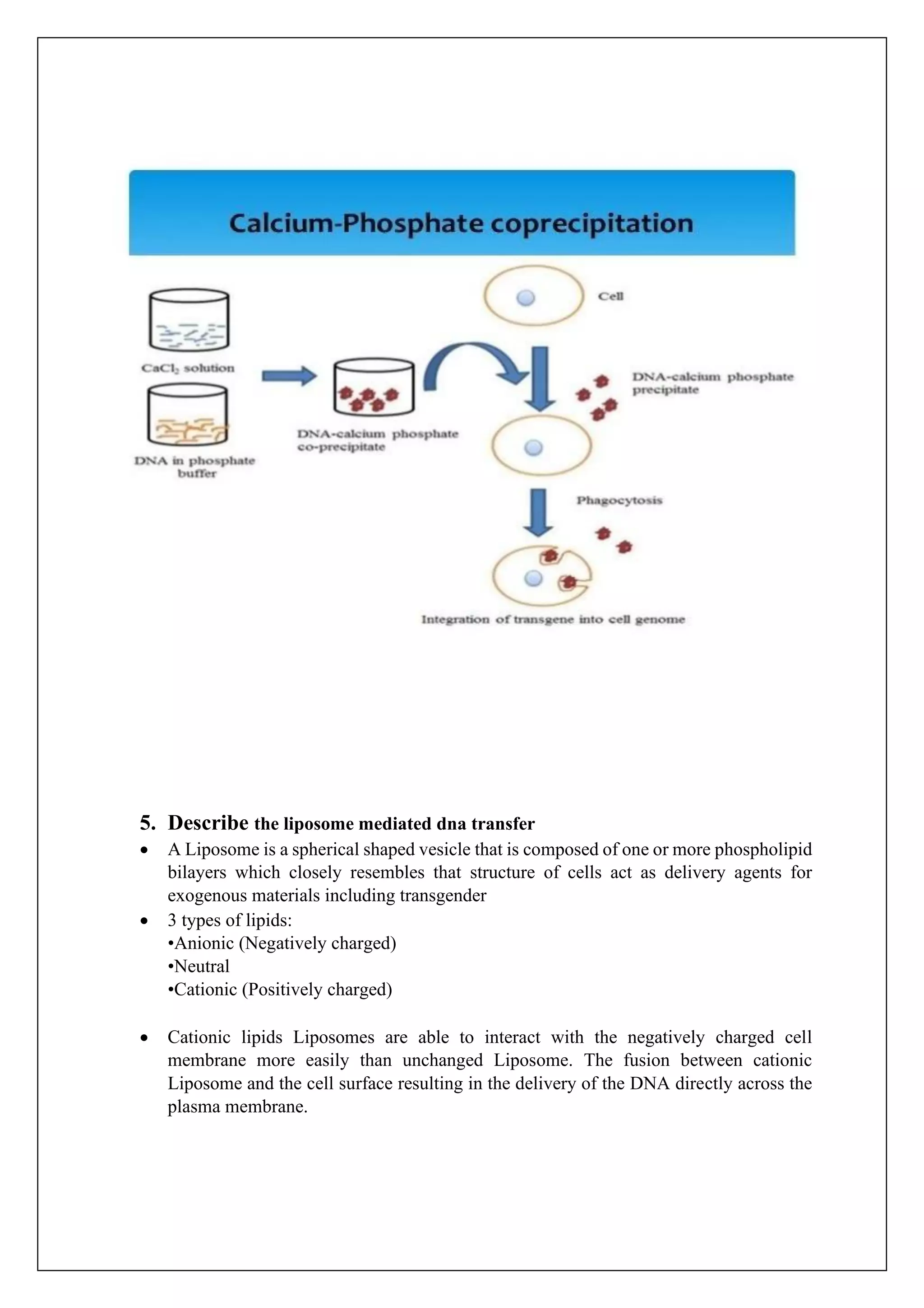 gene transfer techniques | PDF
