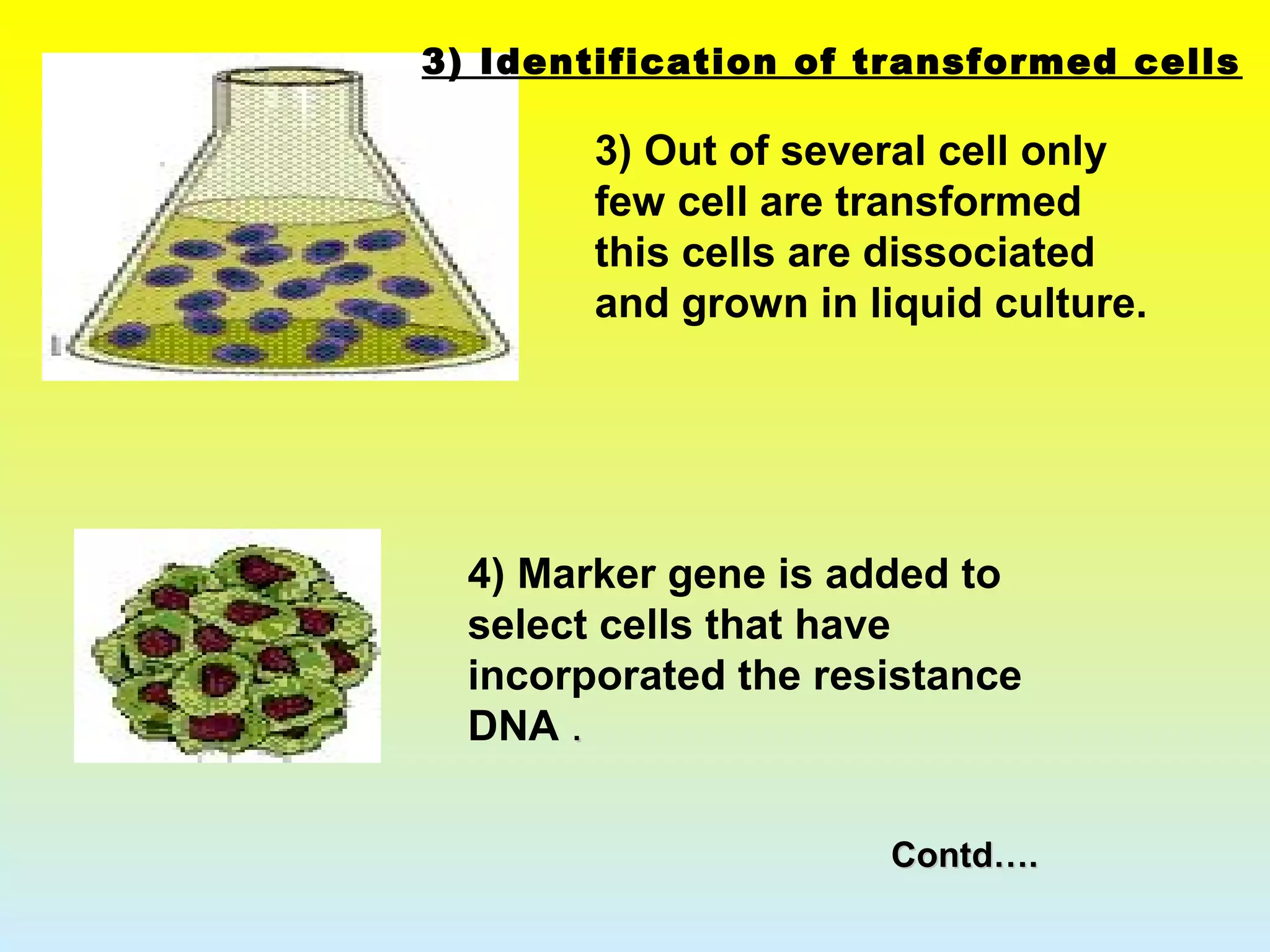 Gene transfer techniques | PPT