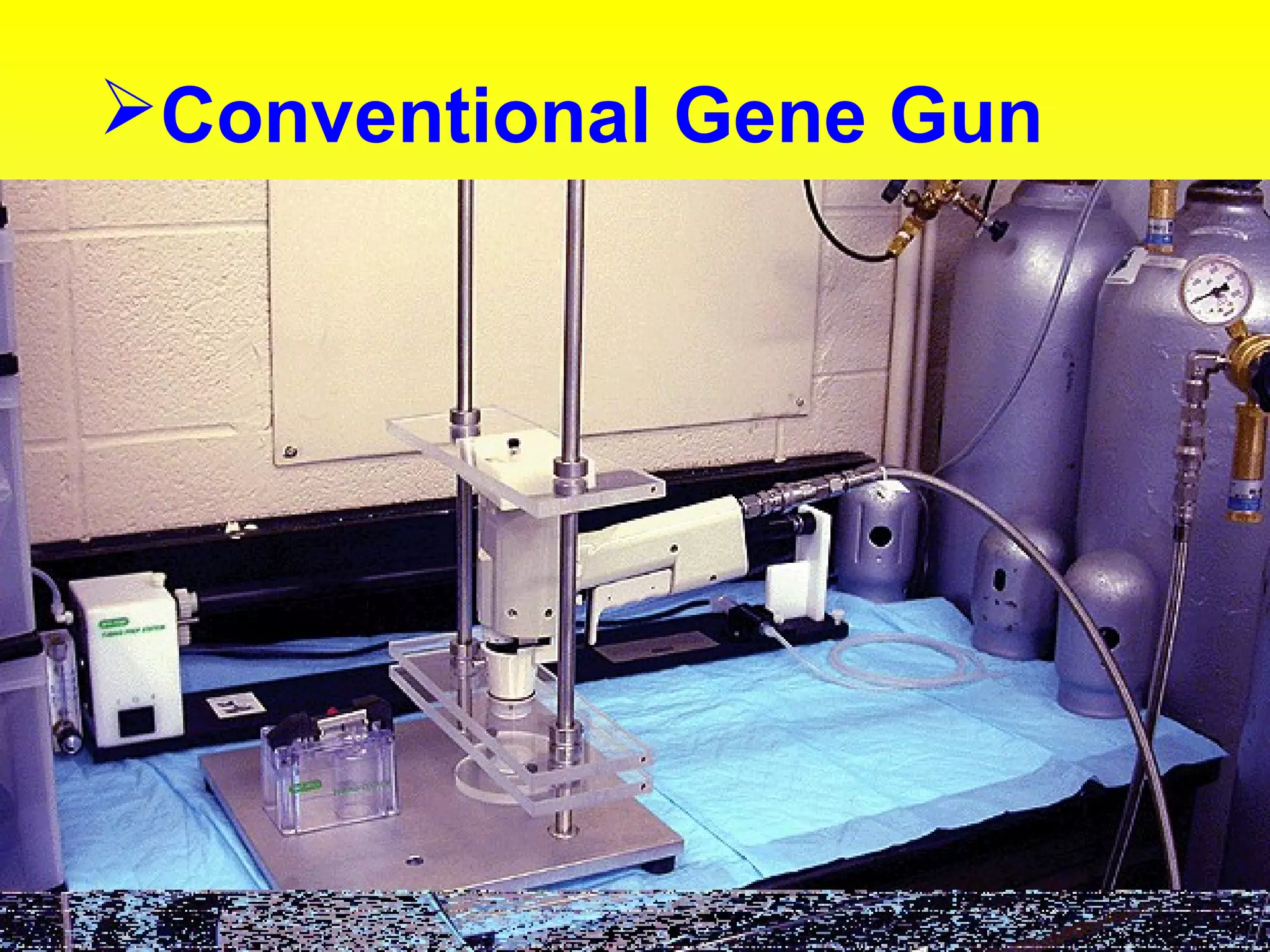 Gene transfer techniques | PPT