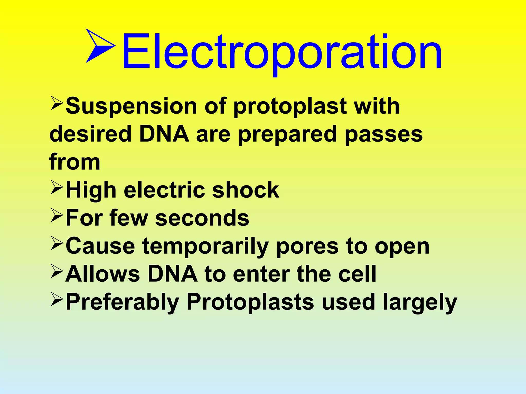 Gene transfer techniques | PPT