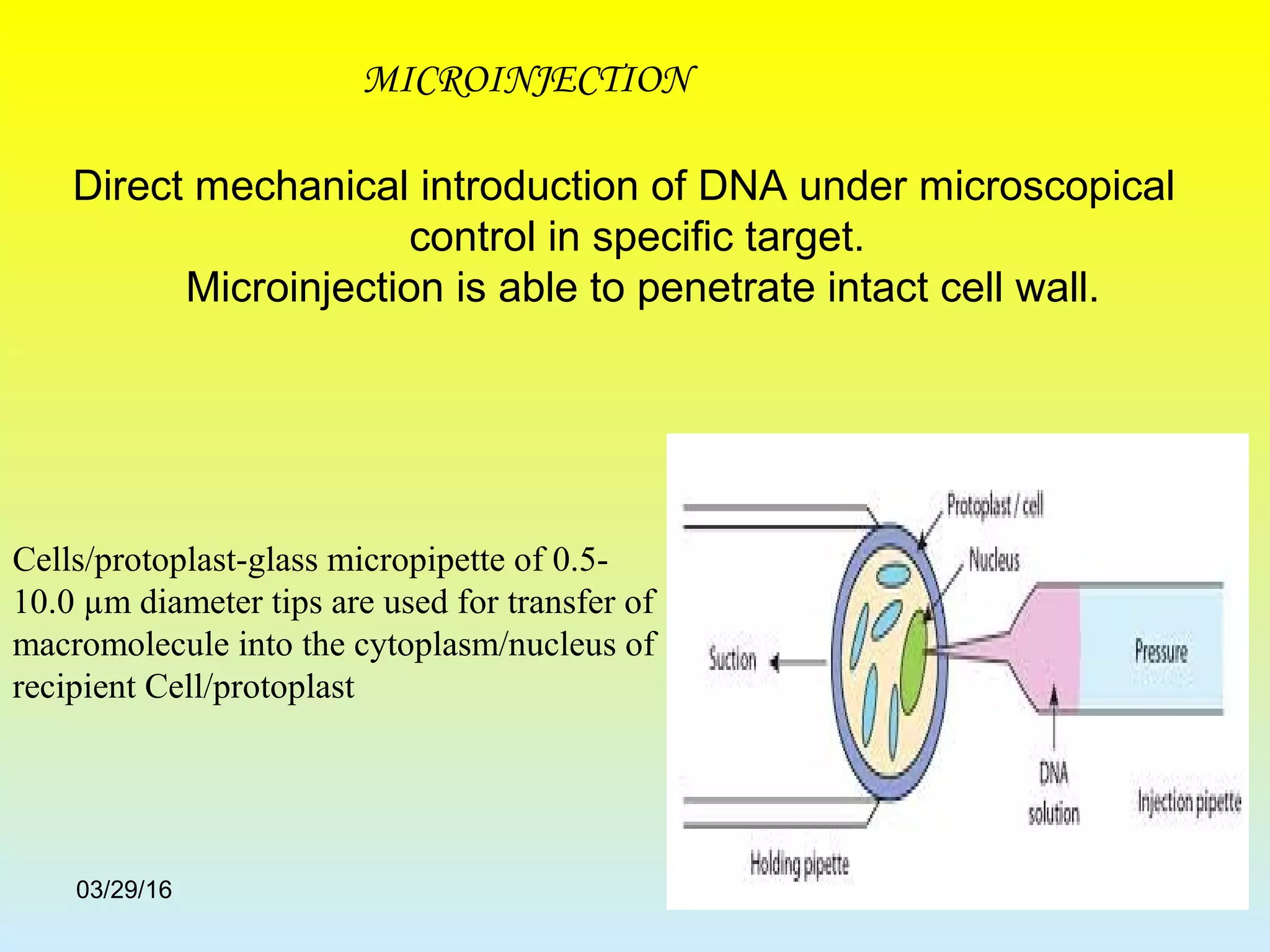 Gene transfer techniques | PPT