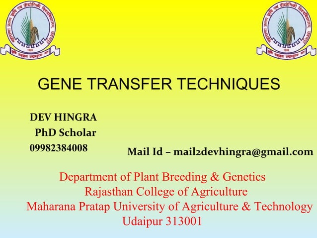 Gene transfer techniques | PPT | Gardening | Home & Garden