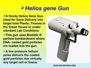 Gene transfer techniques | PPT