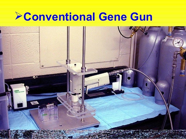 Gene transfer techniques