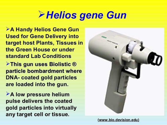 Gene transfer techniques