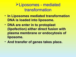 Gene transfer tech | PPT