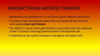 Gene transfer technology biotech | PPTX