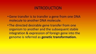 Gene transfer technology biotech | PPTX