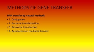 Gene transfer technology biotech | PPTX