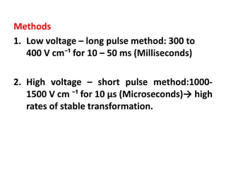 GENE TRANSFER TECHNIQUE SMG | PPTX